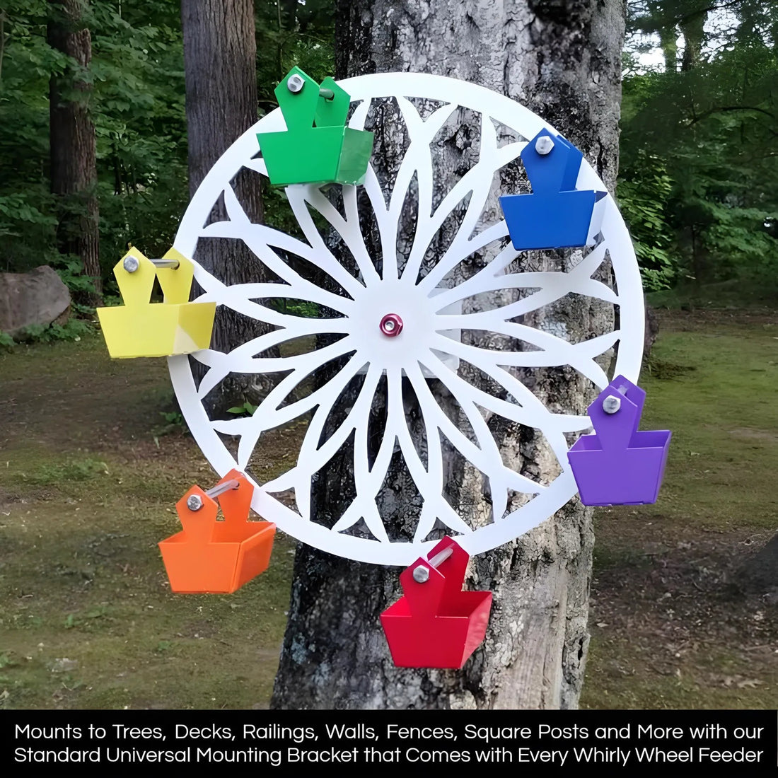 The Ferris Wheel of Fun for Your Feathered Friends – anyfreebie.com